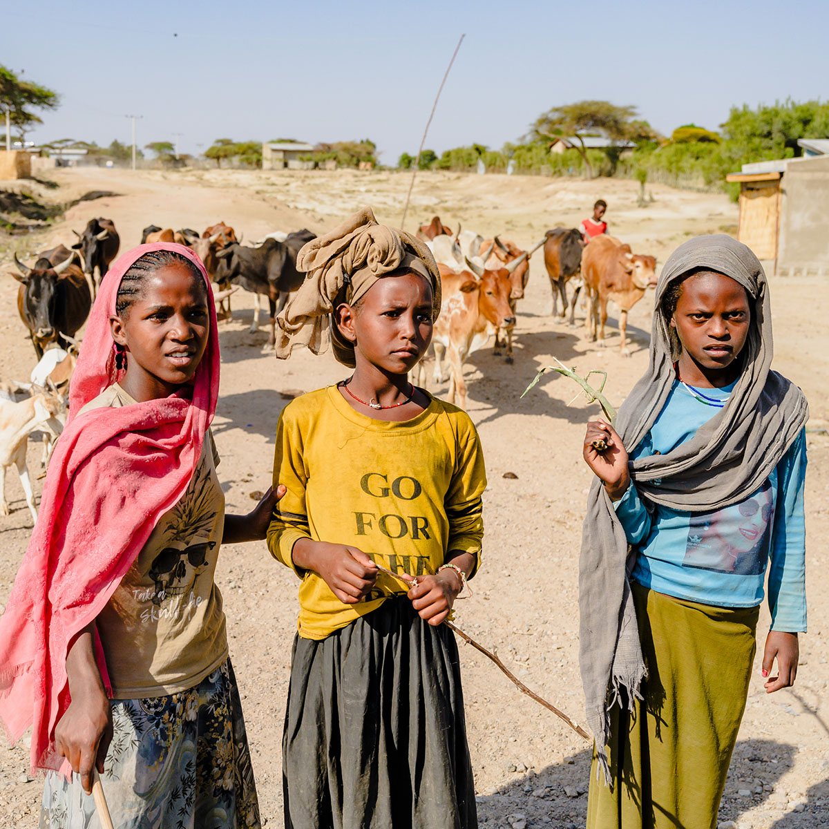 Supporting Persecuted Christians - The Voice of the Martyrs